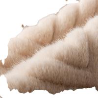 China Soft Comfortable Hand Feeling Xiaomi Mink 100% Polyester for Popular Ladies' Clothing for sale