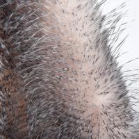 China Customized Color 100% Polyester Long Fur The Top Choice for Clothing in 2023 Faux Fur for sale