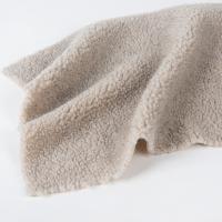 China 100D Fleece Fabric for Men's Hoodies Jacket Soft Durable and Luxurious Sherpa Lining for sale