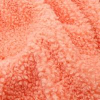 China Front Material 100% Polyester Sustainable Recycled Sherpa Teddy Fabric for Home Textile for sale