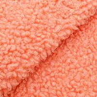 China Front Material 100% Polyester Sustainable Recycled Sherpa Teddy Fabric for Home Textile for sale