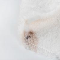 China Soft 100% Polyester Jacquard Sherpa Fleece Fabric for Winter Clothing Knitted Design for sale