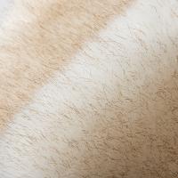 China High Weight Plush Knitted Backing Technics Long Hair Pile Soft Faux Fur for and Fabric for sale