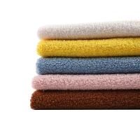 China Teddy Velvet Fabric for Autumn Winter Loungewear and Pillow Cotton Shoes Plush Fabric for sale