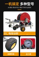 China High Efficiency Electric Hose Reel Irrigation Machine for Farmland Watering Irrigation for sale