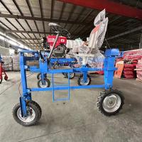 China HS600 12HP Self-Propelled Diesel Sprayer – 300L Tank, 6M Adjustable Boom for sale