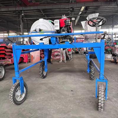 China HS600 12HP Self-Propelled Diesel Sprayer – 300L Tank, 6M Adjustable Boom for sale