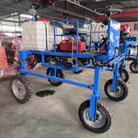 China HS600 12HP Self-Propelled Diesel Sprayer – 300L Tank, 6M Adjustable Boom for sale