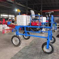China HS600 12HP Self-Propelled Diesel Sprayer – 300L Tank, 6M Adjustable Boom for sale
