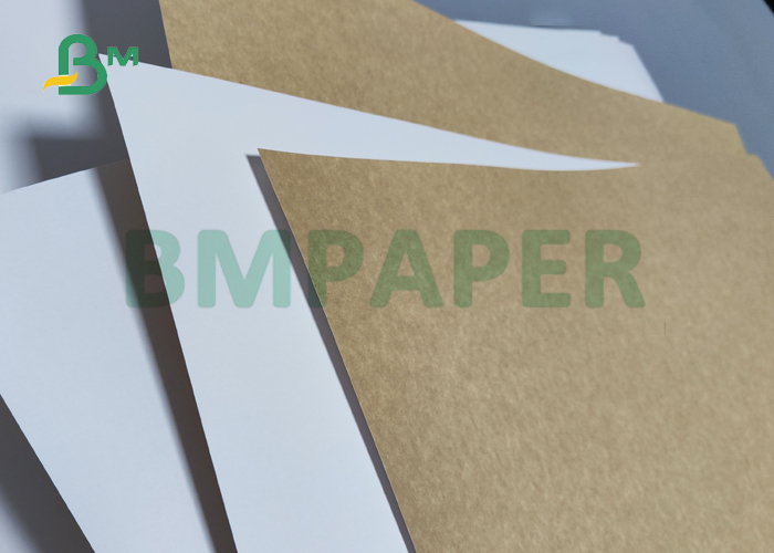 CCKB Kraft Back Board from GUANGZHOU BMPAPER CO., LTD