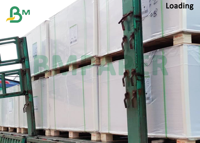 pe coated cup base paper from Guangzhou Bmpaper Co., Ltd