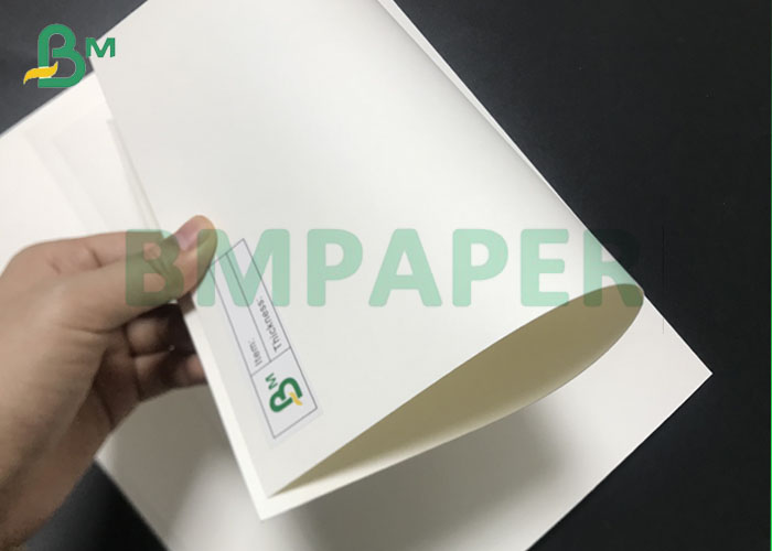 Coated Bleached Cup Carton from Guangzhou BMPAPER co., ltd
