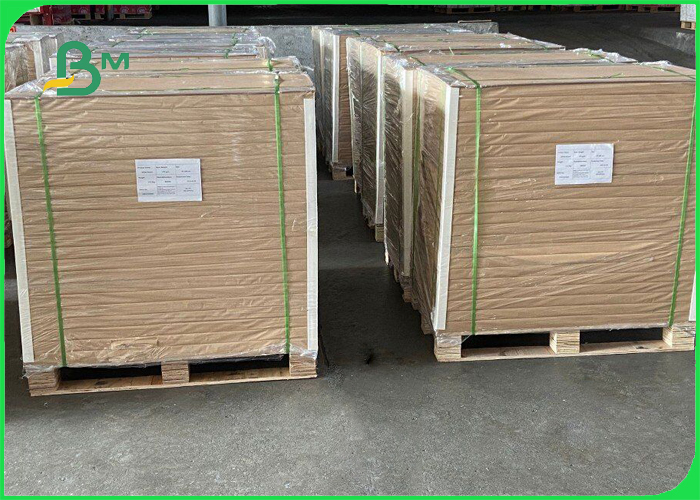 High Bulk 350gsm 1 / S FBB White Back For Pharmaceutical Package 36 x 38”