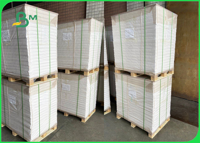 75gsm 80gsm Glossy Cast Coated Paper For Sticker 24 x 36inch Self - adhesive