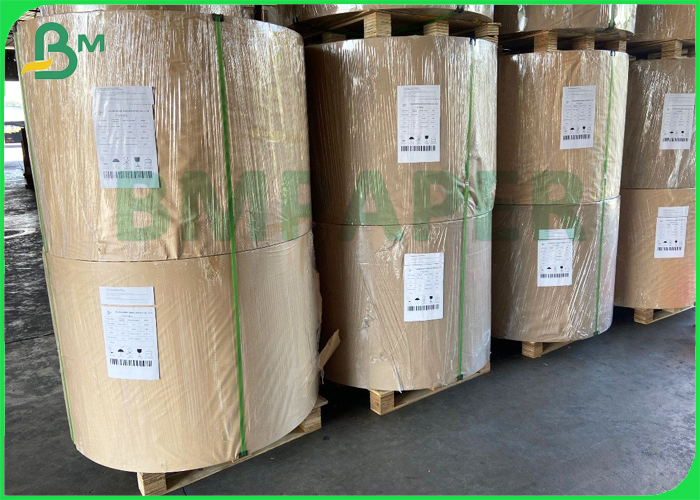 beverage packaging paperboard