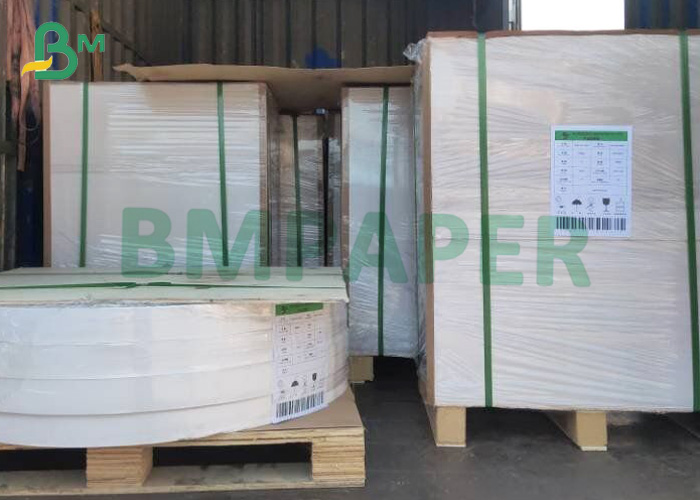 Tyvek Paper Sheets