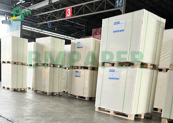 250gsm 270gsm Single Side Coated Ivory Paper For Packing & Printing