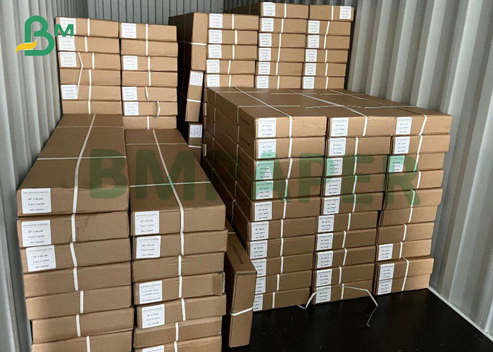 36 Inch Plotter Paper Roll