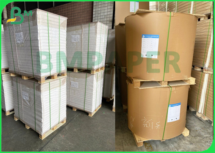 Coated cover paper