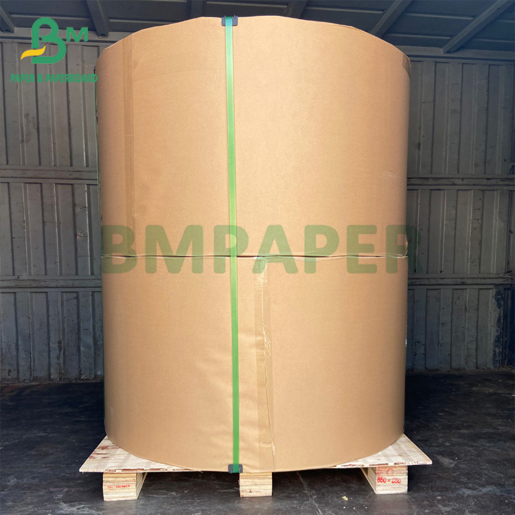 pe coated cup paper