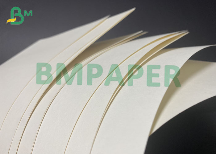 Cone Cup Paper