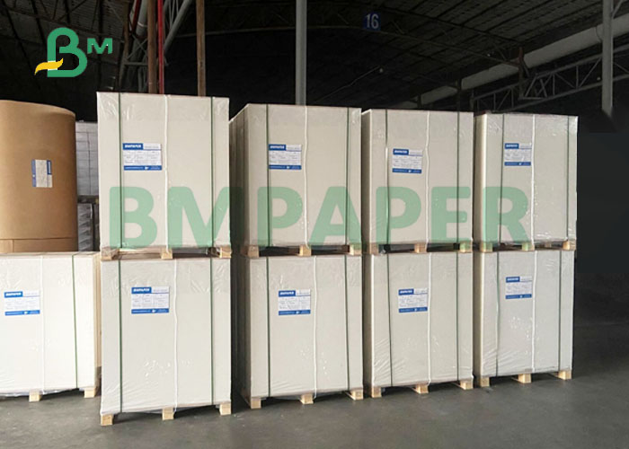 200um 300um Matte Non - Tear PP Synthetic Paper For Label Factory 500 x 570mm