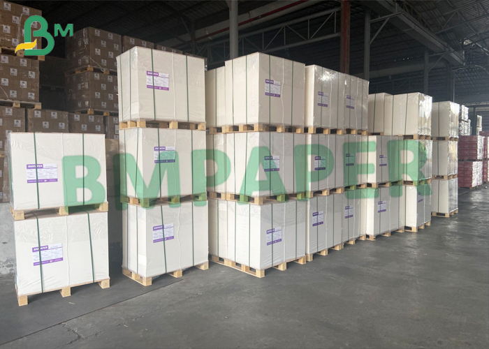 high bulk cream book paper from Guangzhou bmpaper co., ltd