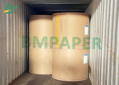 China 280gsm Dryer Wrapping Paper Food Preserving Card Sheet Large Roll Sheets Customised for sale
