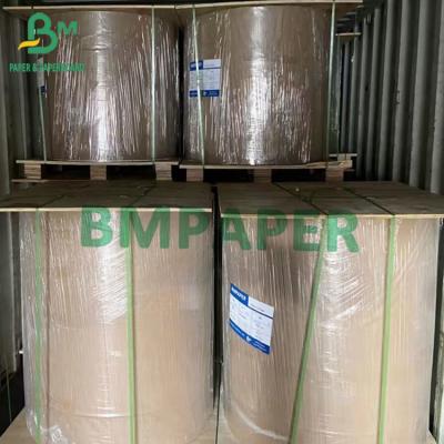 China PE Coated Ivory Board 190gsm + 15g PE One Side Roll Width 725mm for sale