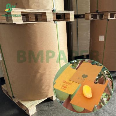 China 54g 56g Single Or Double Layer Mango Fruit Growing Protection Cover Bag Paper for sale