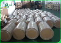 China CCKB / Clay Coated Kraft Back Duplex Paper Board Roll Packing White Color for sale