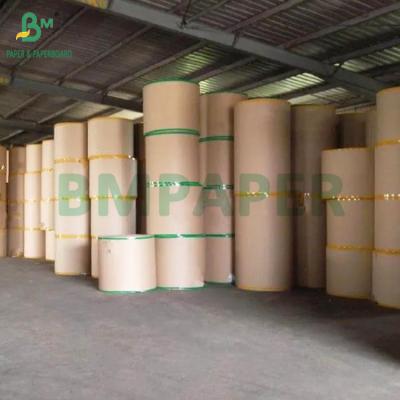 China Food Grade Kraft 320gsm + 20g PE Coated Paper For Coffee Cup High Bulk 900mm for sale