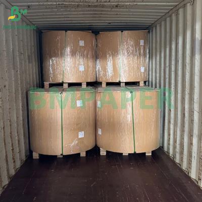 China 50gsm Food Grade Bleached and unbleached Coffee Filter Paper Roll for sale