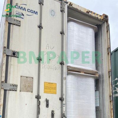 China 50gsm  Wood Pulp Bleached And Unbleached Food Grade Coffee Filter Paper 328mm for sale