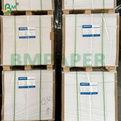 China 260gsm Heat Resistant PET Coated Oven Paper Rolls for Toasting for sale