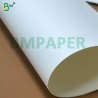 China PE Coated Non Toxic Eco-Friendly  Good Malleability Waterproof Cup Paper Sheets For Cup for sale