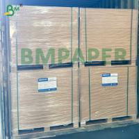 China 280gsm Bleached Paperboard PET Ovenable Cardboard For Paper Trays for sale
