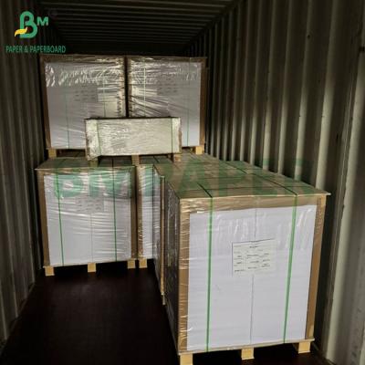 China 240gsm 260gsm White Printable Cupp1s Paper For Making Cups 700mm 800mm for sale