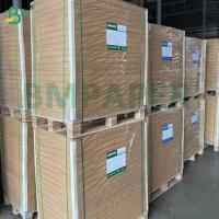 China 210g 220g High Strength Flexibility White Extensible cup Paper For coffee cup Paper bowl for sale
