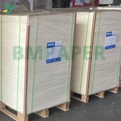 China 40gsm  Heat - Resistant Non - Stick Baking Silicone Coated Oven Paper for sale