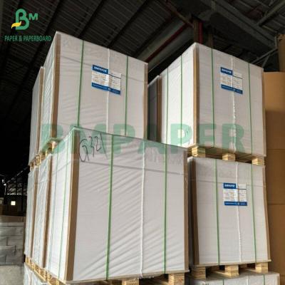 China 1mm 1.2mm Moisture Proof White Heat-sealed Bottle Cap Paper For Medicine Bottle Sealed for sale