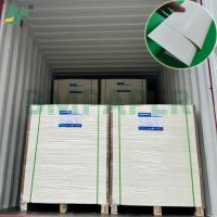 China 300gsm Clay Coated SBS Board For Food Trays 610mm x 914mm Excellen Strength for sale