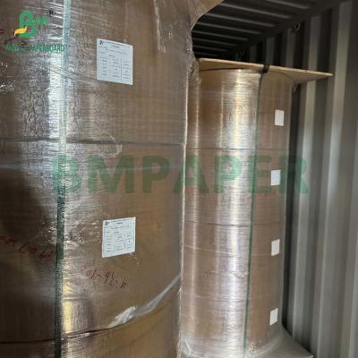 China Degradable Food Grade Kraft Paper Roll 20gsm - 50gsm for Coffee Filtering for sale