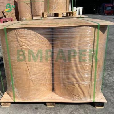 China 30gsm 40gsm Multicolor Food Grade Non-Stick Cupcake Paper Roll With Virgin Wood for sale