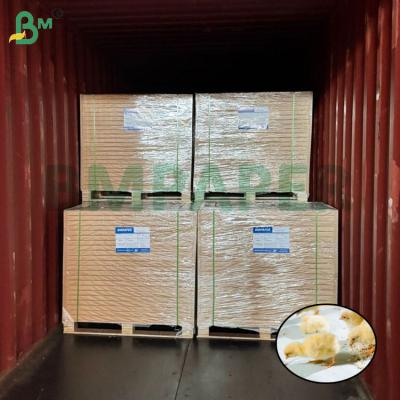 China White Chick Rearing Paper Chicken Paper For Poultry Farming 66cm 100cm for sale