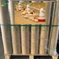 China 90gsm Absorbent Kraft Paper Thick Chickpaper Specialized For Hens Rearing 74cm 90cm for sale