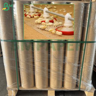 China 90gsm Absorbent Kraft Paper Thick Chickpaper Specialized For Hens Rearing 74cm 90cm for sale
