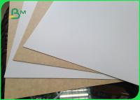 China 450gsm  ISO Certified Clay Coated Kraft Back Food Grade Paper Roll / White Liner Paper For Packing for sale