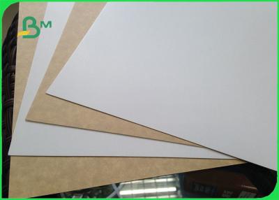 China 450gsm  ISO Certified Clay Coated Kraft Back Food Grade Paper Roll / White Liner Paper For Packing for sale