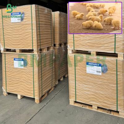 China 90grams 110gram Brown Color Waterleaf Kraft Paper For Farm Use 75cm 90cm Reel for sale
